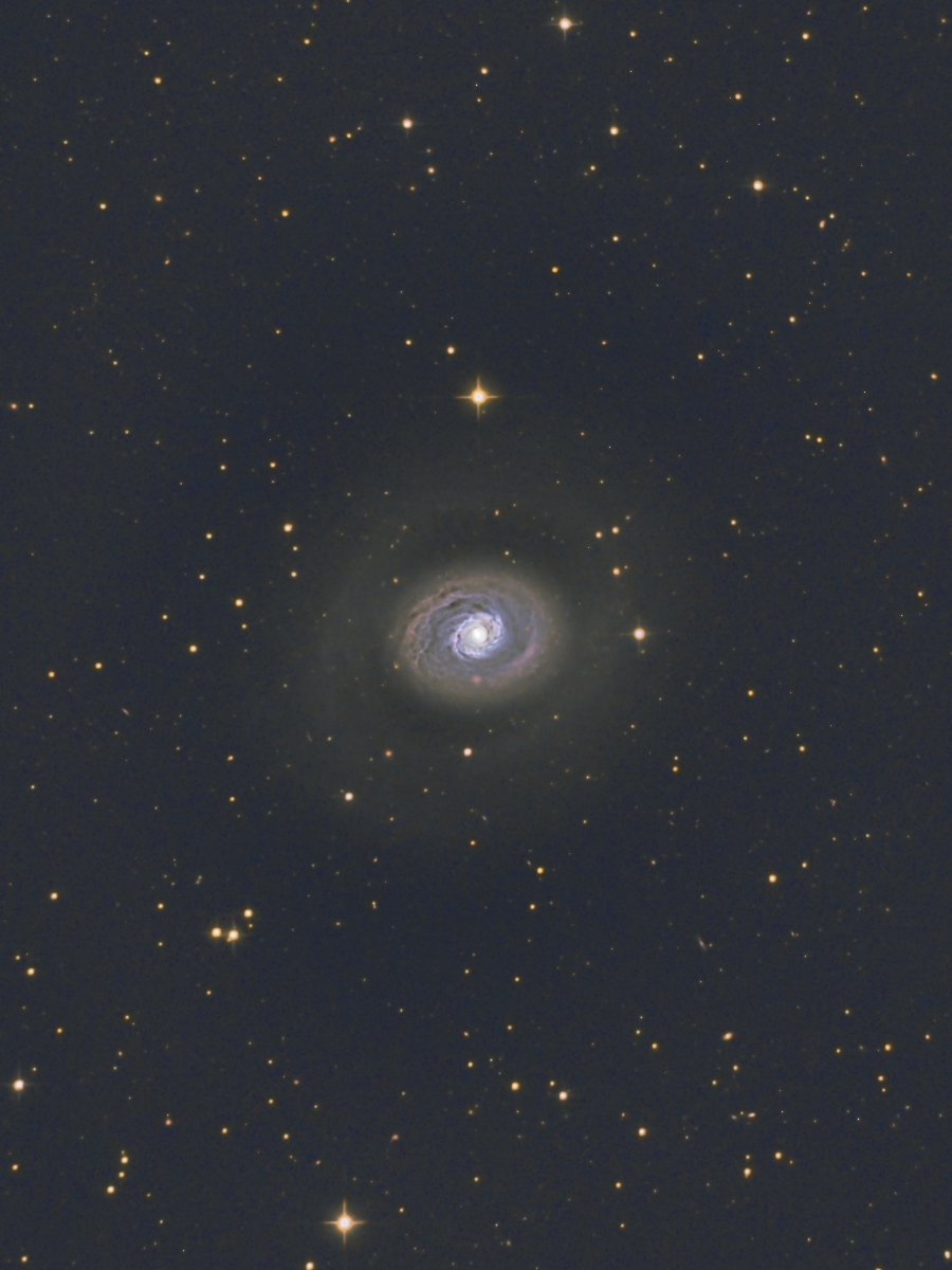 M94 りょうけん座の銀河 3/24撮影分: 小さな天文台